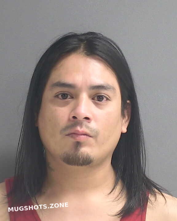 ANDRES OLIVER 06/20/2022 - Volusia County Mugshots Zone