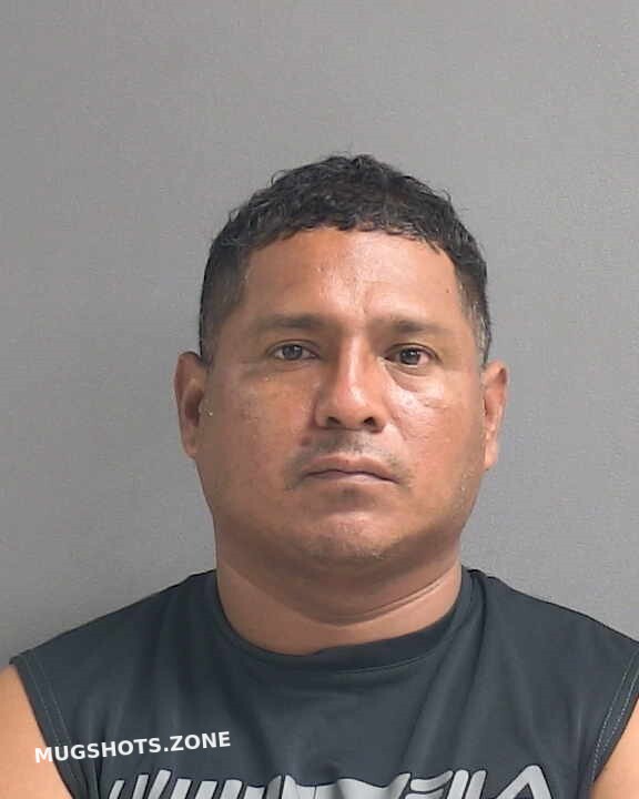 RIVAS DOMINGO ALDER O 10/11/2022 - Volusia County Mugshots Zone