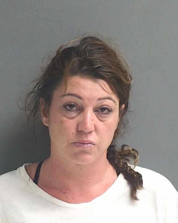 SMART MARY N 10/29/2022 - Volusia County Mugshots Zone