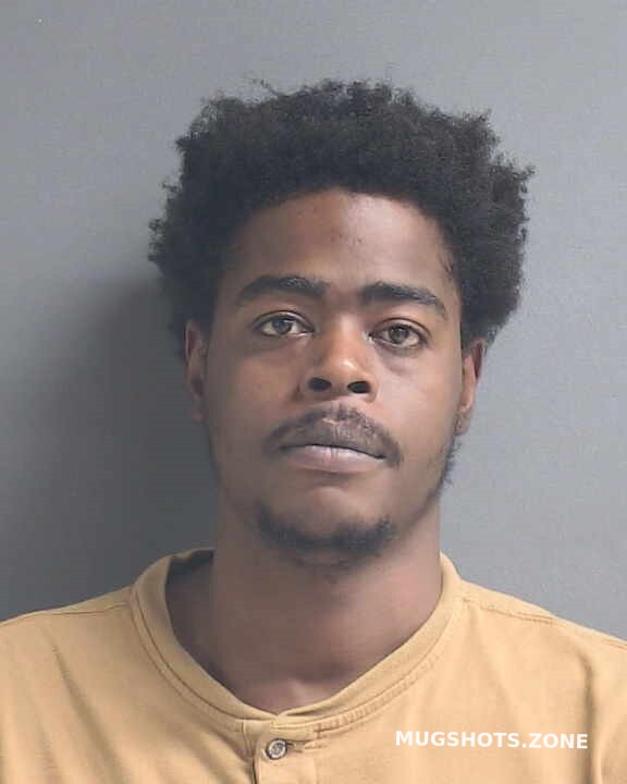 REID CHRISTOPHER H 11/01/2022 - Volusia County Mugshots Zone