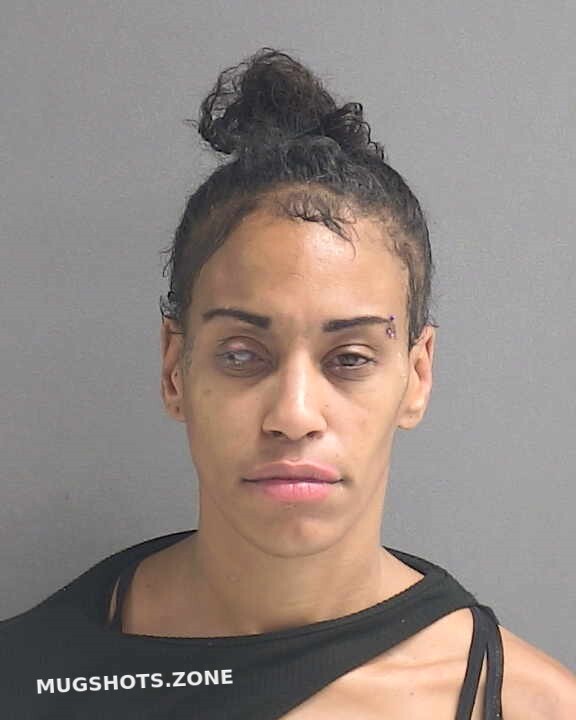 STROHBUSCH REBECCA A 11/06/2022 - Volusia County Mugshots Zone