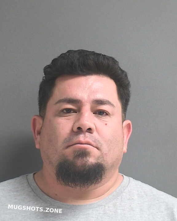BANUET ROSAS CESAR IVAN 01/05/2023 - Volusia County Mugshots Zone