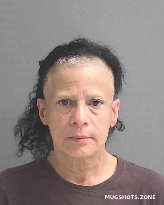 AGOSTO ELISA 01/25/2023 - Volusia County Mugshots Zone