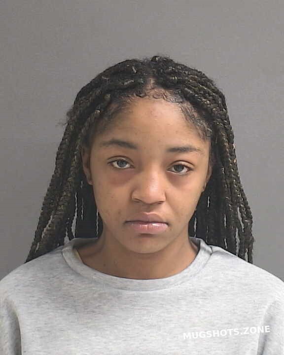 Sol Brianna J 02022023 Volusia County Mugshots Zone
