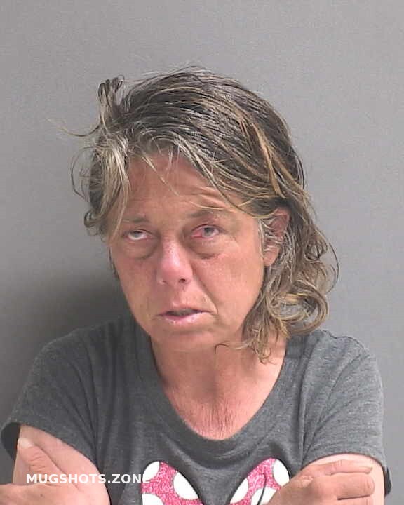 TWOHIG MELISSA ANN 02/06/2023 - Volusia County Mugshots Zone
