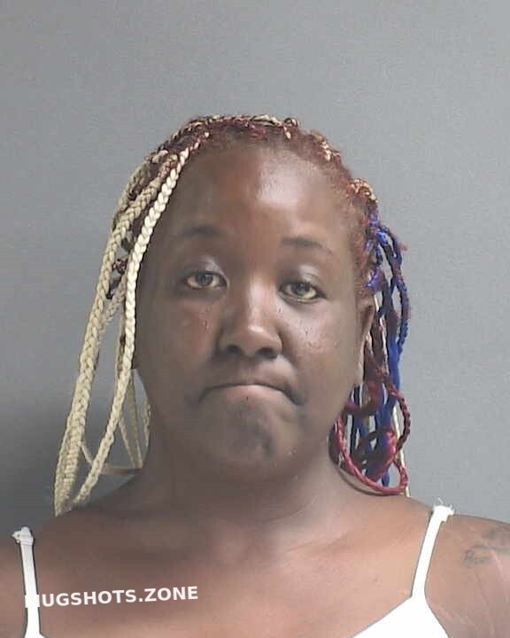 JOHNSON MARIA ANN 02/15/2023 - Volusia County Mugshots Zone