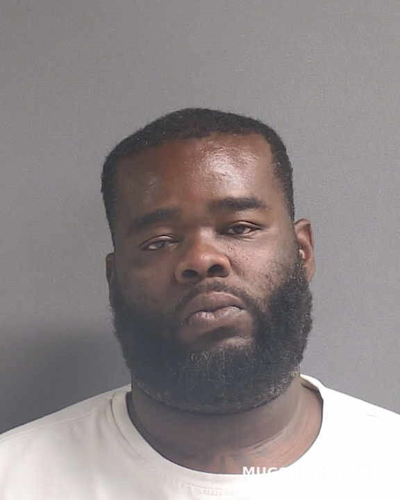 POWELL DAVID L 03/05/2023 - Volusia County Mugshots Zone