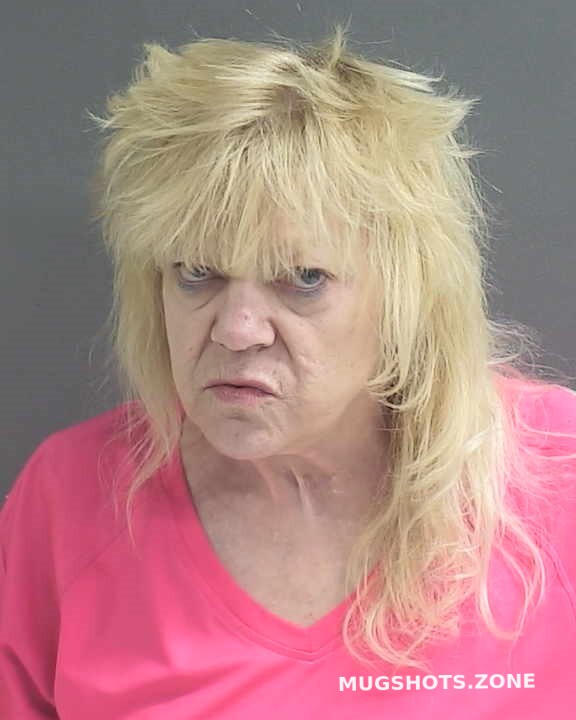 JABLONSKY DEBBIE L 03/12/2023 - Volusia County Mugshots Zone