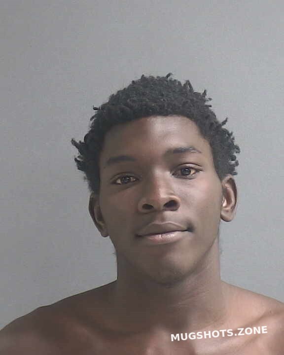 MILLS VINCENT SAMUEL 03/15/2023 - Volusia County Mugshots Zone