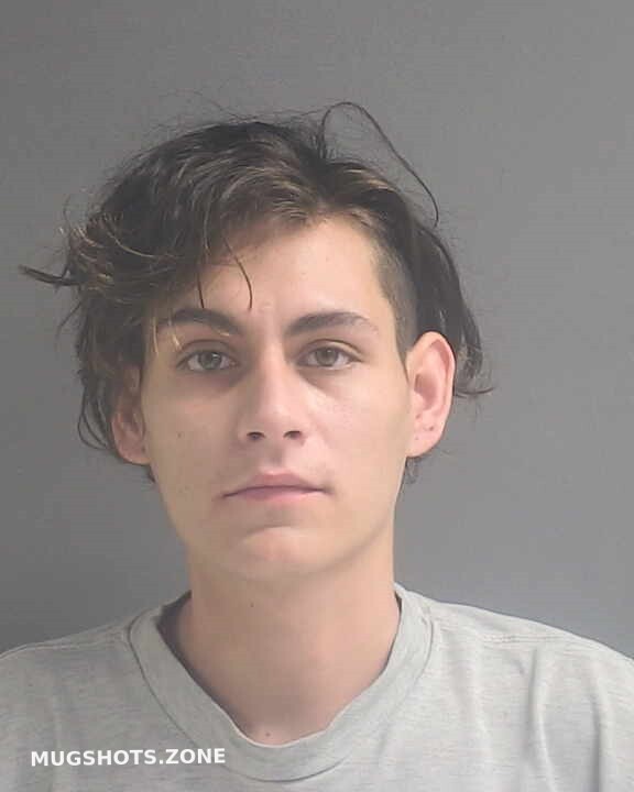 FRANCIS GAVIN N 03/28/2023 - Volusia County Mugshots Zone