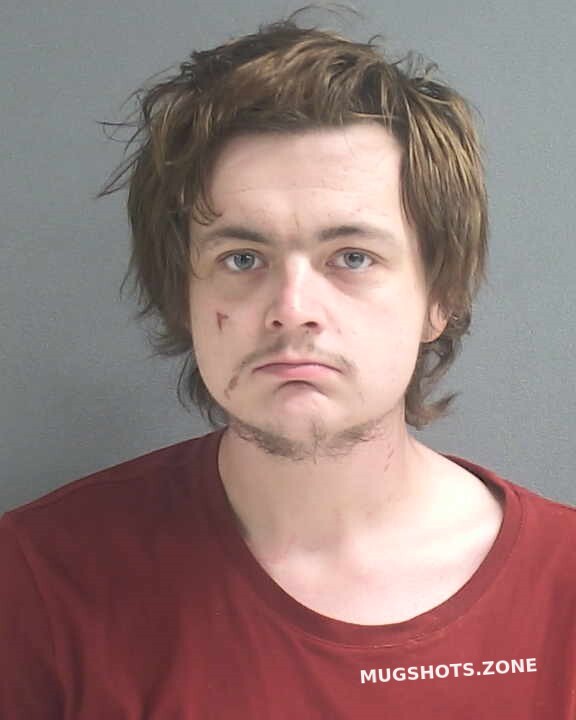 WEBB DYLAN MICHAEL 04/12/2023 - Volusia County Mugshots Zone