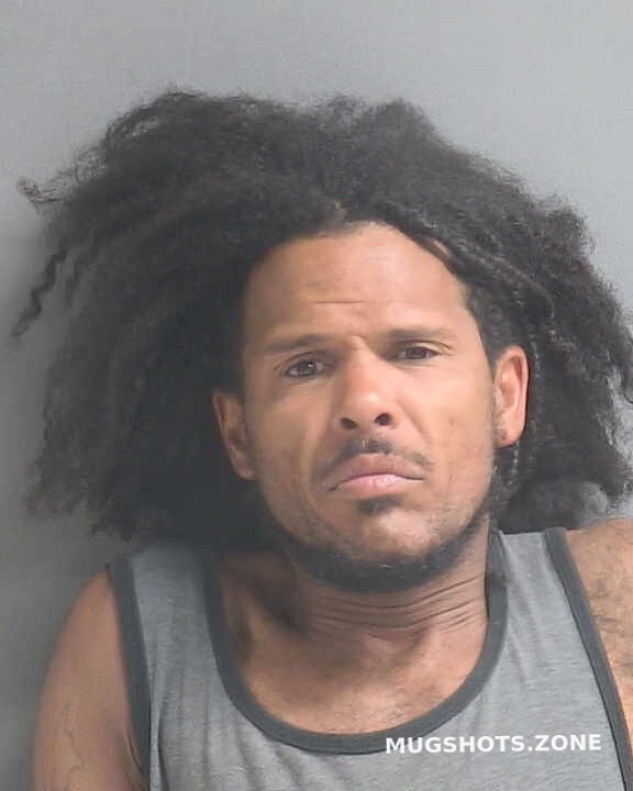 De Jesus Angel M 04 18 2023 Volusia County Mugshots Zone