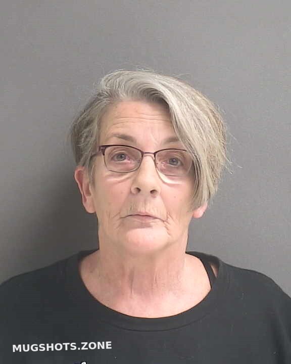BELSON KIM M 04/29/2023 - Volusia County Mugshots Zone