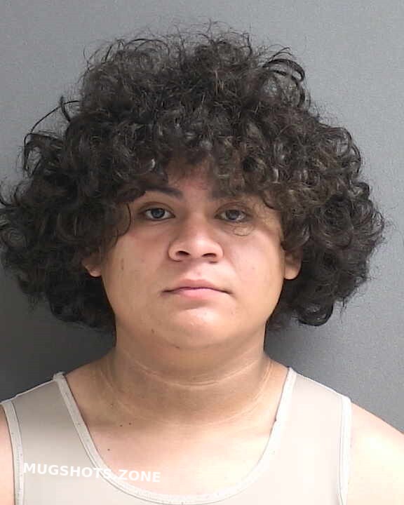 AMAYA ELMER A 06/08/2023 - Volusia County Mugshots Zone