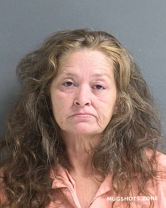 HANNERS MICHELLE ELAINE 06/11/2023 - Volusia County Mugshots Zone