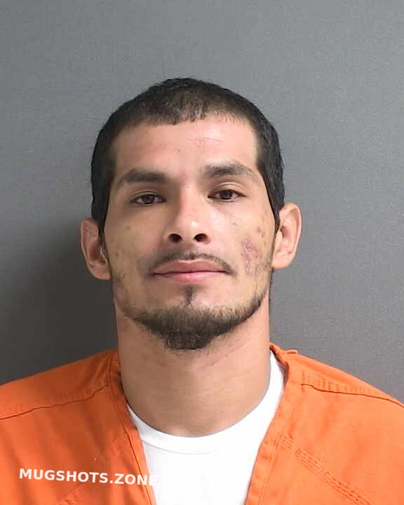 BRAVO OSCAR ANDRES 06/14/2023 - Volusia County Mugshots Zone