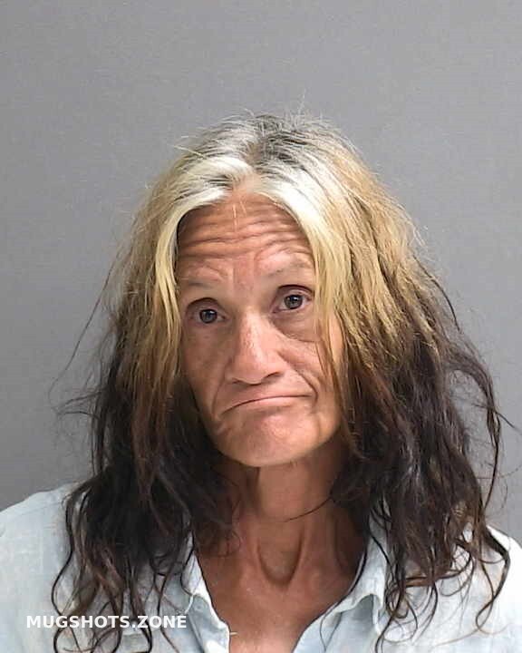 CONFESSORE ELINA M 06/29/2023 - Volusia County Mugshots Zone