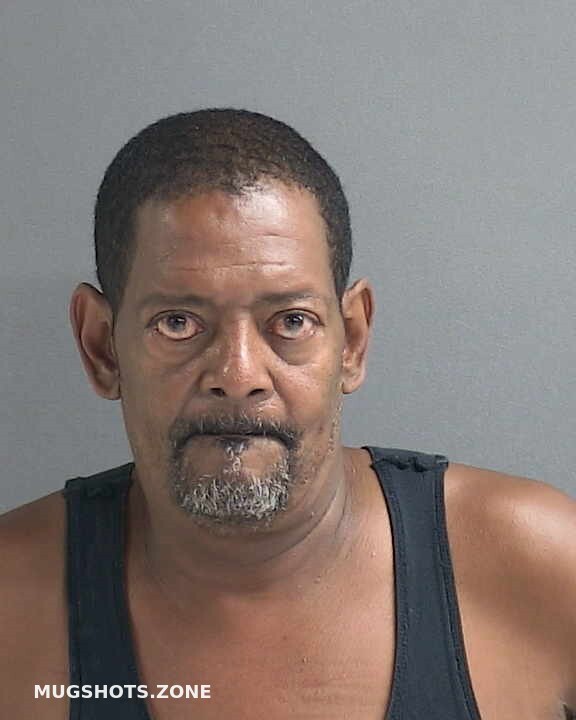 WATKINS JAMES ANSLEY 07/20/2023 - Volusia County Mugshots Zone