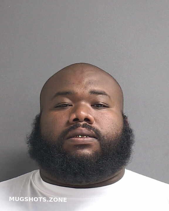 PATTERSON RONALD L JR 08/16/2023 - Volusia County Mugshots Zone