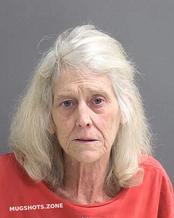 DEKEMA CYNTHIA ANN 10/08/2023 - Volusia County Mugshots Zone