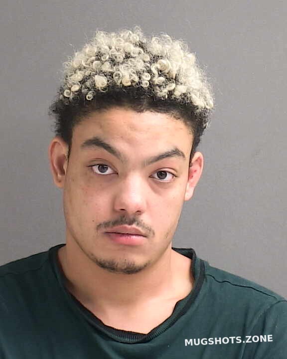 ASHE RYAN WESLEY 10/29/2023 - Volusia County Mugshots Zone