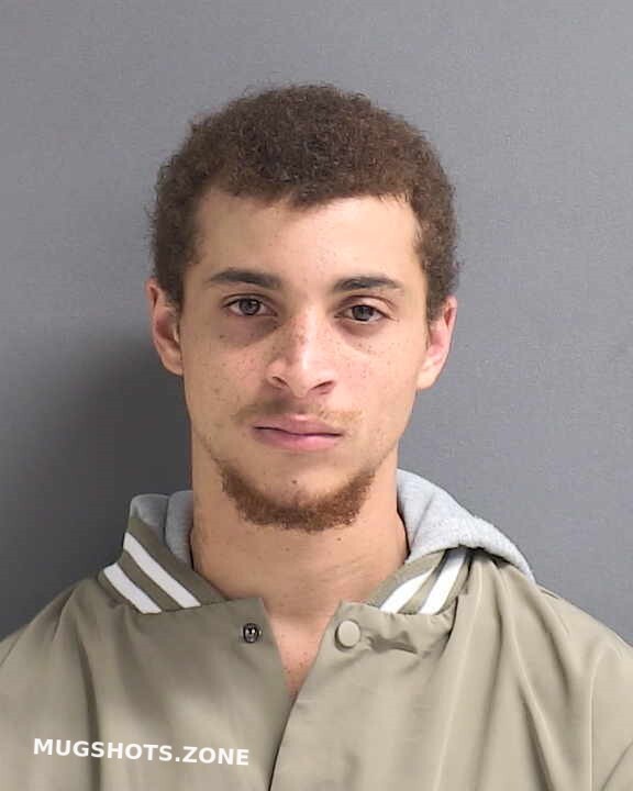 BROWN NICKOLAS J 12/18/2023 - Volusia County Mugshots Zone