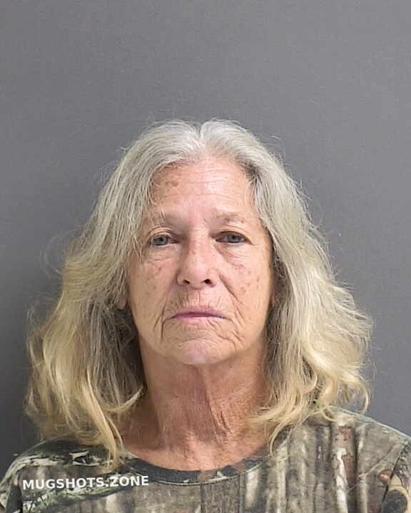 SHAPIRO DIANE HELEN 12/31/2023 - Volusia County Mugshots Zone