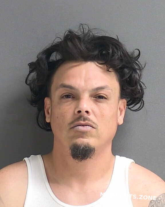 NEGRON RAY JAYSSON 01/08/2024 - Volusia County Mugshots Zone