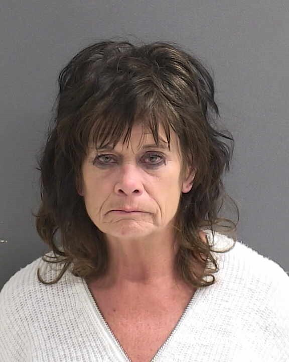 DRAPER SUZANNE M 01/22/2024 - Volusia County Mugshots Zone