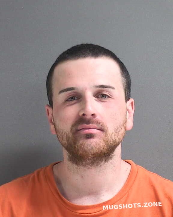 DYER DYLAN J 01/25/2024 - Volusia County Mugshots Zone