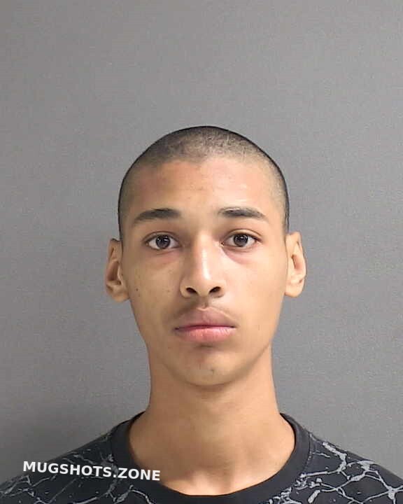 ADAMS DOMINICK TYLER 02/02/2024 - Volusia County Mugshots Zone