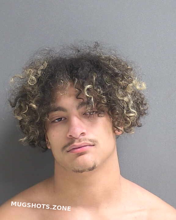 CARTER JORDAN L 02/04/2024 - Volusia County Mugshots Zone