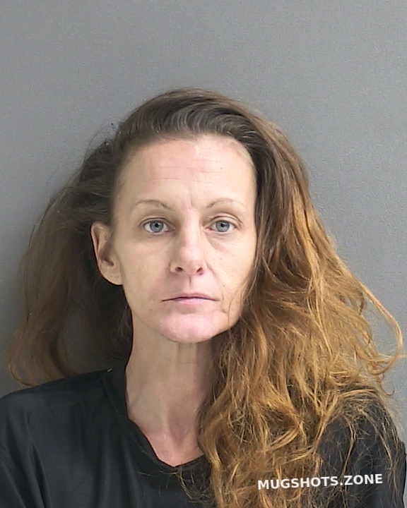 STARK BRIDGETTE JEAN 02/09/2024 - Volusia County Mugshots Zone