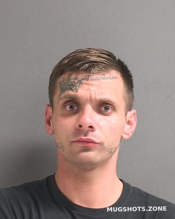 GREER JAMES WALTER 02/16/2024 - Volusia County Mugshots Zone