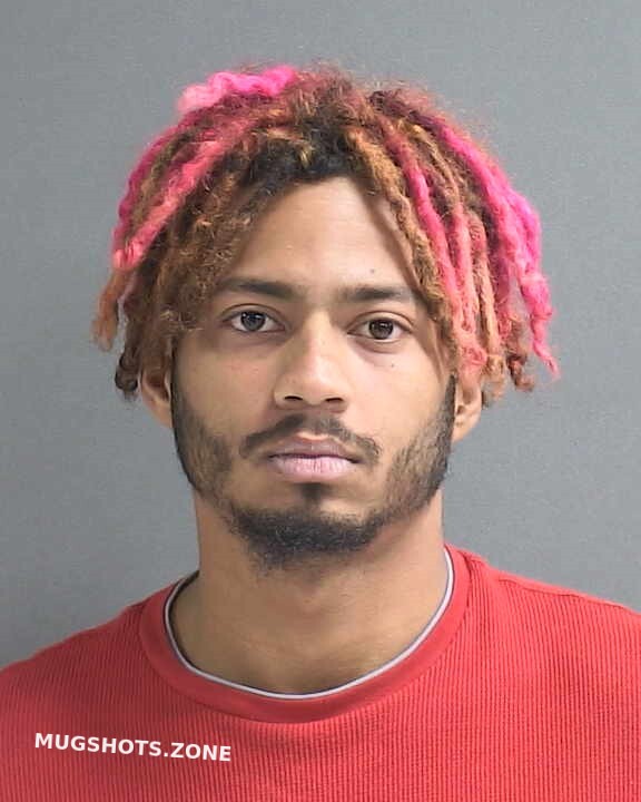 BLUE ORLANDO 02/19/2024 - Volusia County Mugshots Zone