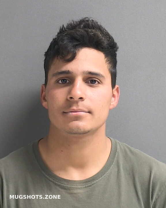 SALAS ALVAREZ SAUL RAMON 02/25/2024 - Volusia County Mugshots Zone