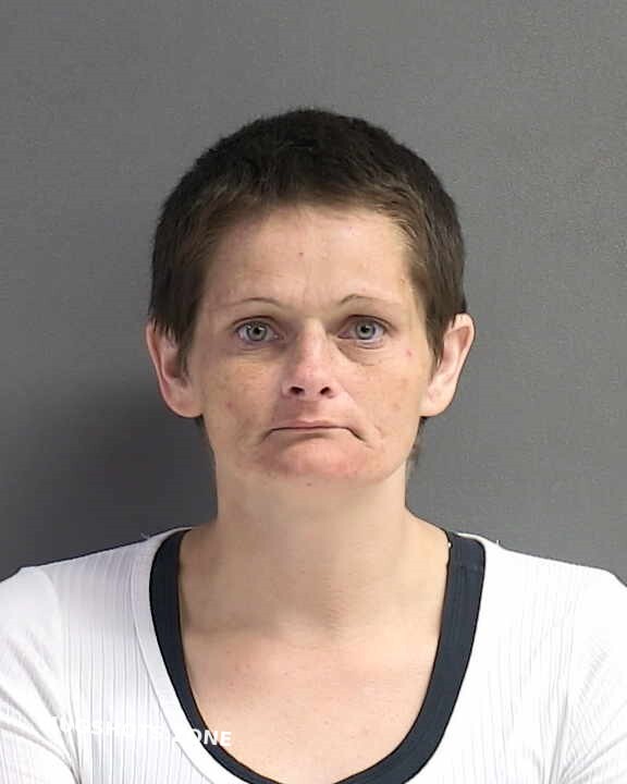 PILLING HEATHER NICOLE 03/13/2024 - Volusia County Mugshots Zone