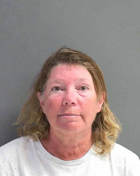 LAFFEY EILEEN 03/14/2024 - Volusia County Mugshots Zone