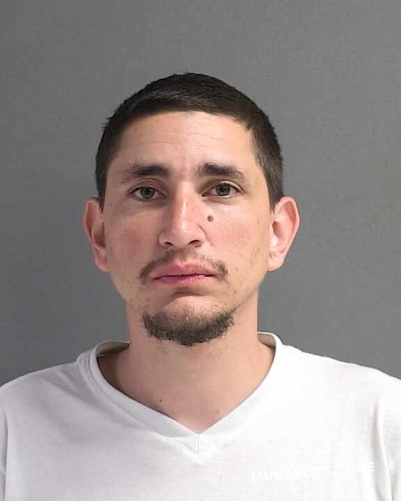 REYES MICHAEL JORDAN 03/16/2024 - Volusia County Mugshots Zone