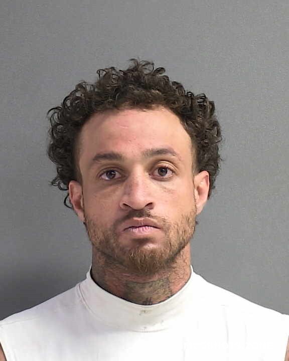 RABIDEAU MICHAEL 04/03/2024 - Volusia County Mugshots Zone