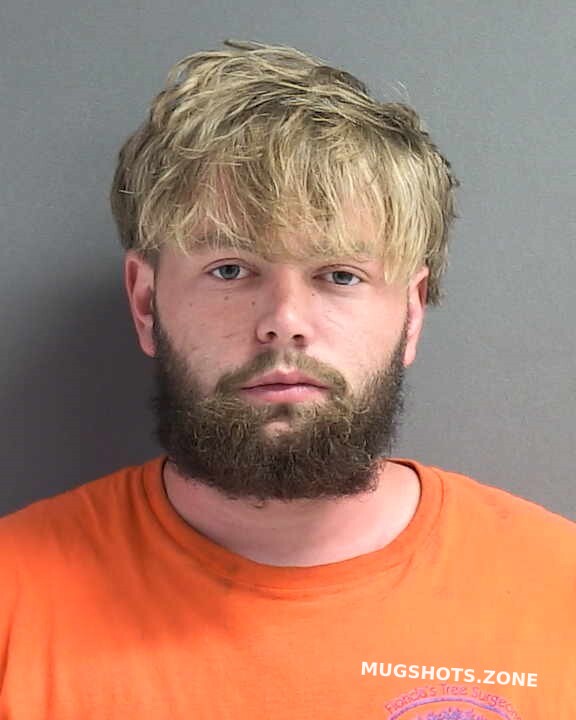 HIGBEE CODY 04/04/2024 - Volusia County Mugshots Zone