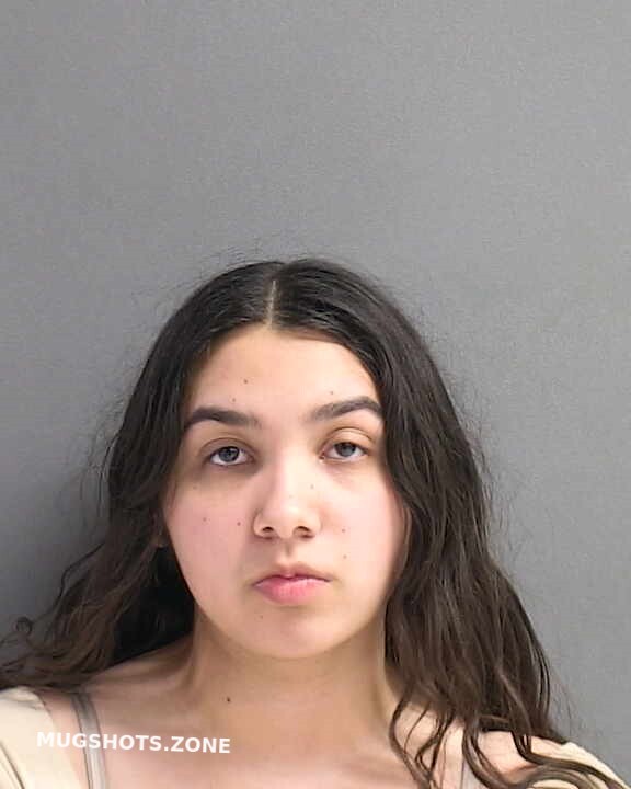 BOZEMAN LILLIANNA ALICIA 04/06/2024 - Volusia County Mugshots Zone