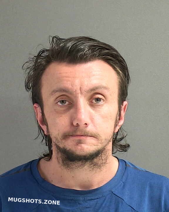 HENVILLE TRAVIS THOMAS 04/08/2024 - Volusia County Mugshots Zone