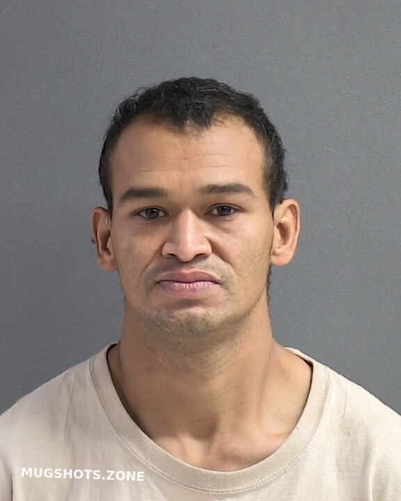 CASTILLO ALEX EDGARDO 04/18/2024 - Volusia County Mugshots Zone