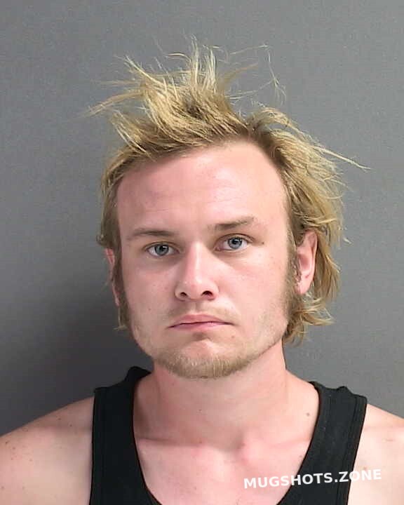 SAVAGE DYLAN JAYSON 04/19/2024 - Volusia County Mugshots Zone