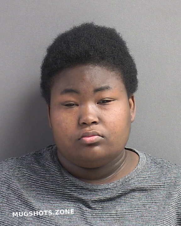 SMITH ALIZE CRYSTAL ANGEL 04/22/2024 - Volusia County Mugshots Zone