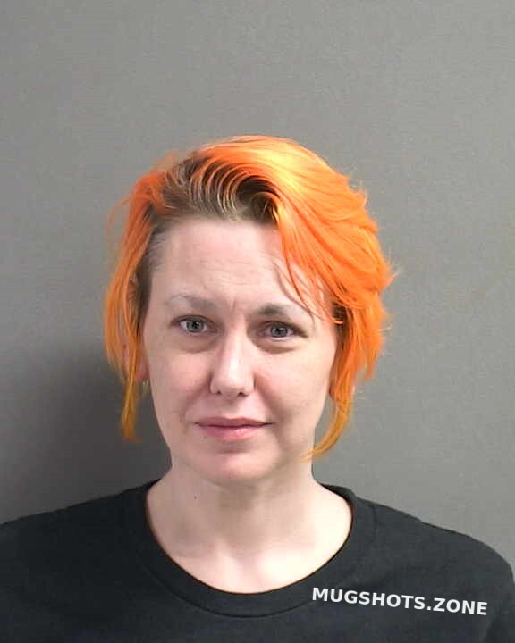 RENO NICHOLE N 05/25/2024 - Volusia County Mugshots Zone