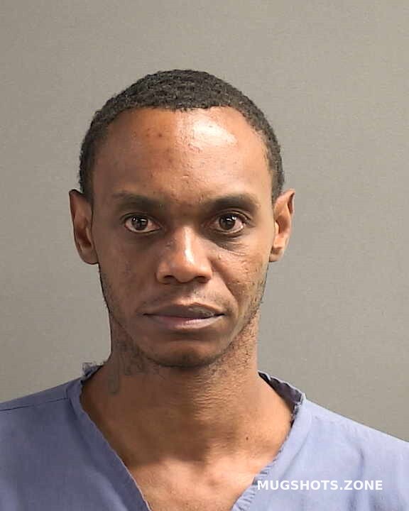 SCOTT RONALD H 06/03/2024 - Volusia County Mugshots Zone