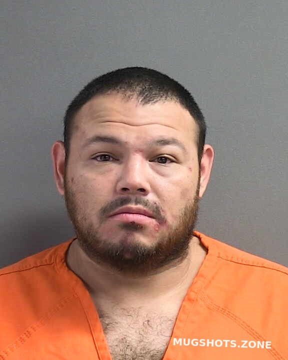 ALVAREZ ALEXANDER M 06/04/2024 - Volusia County Mugshots Zone