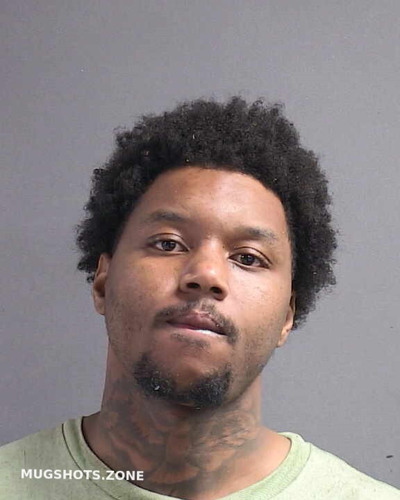 ROSS EDWARD L 06/06/2024 - Volusia County Mugshots Zone